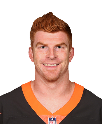 Dez Bryant NFL Stats - Season & Career Statistics | FOX Sports