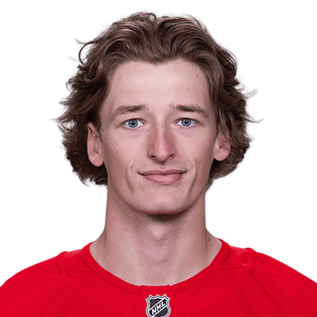 Gage Alexander Injuries - NHL | FOX Sports