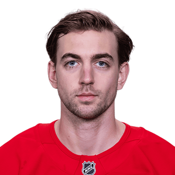 Gabriel Seger - NHL Videos and Highlights | FOX Sports