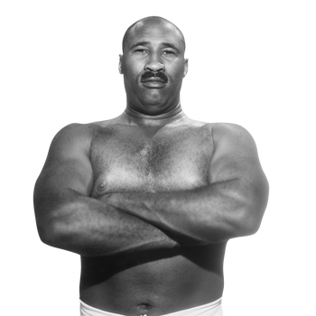 Bearcat Wright Bio Information - WWE | FOX Sports