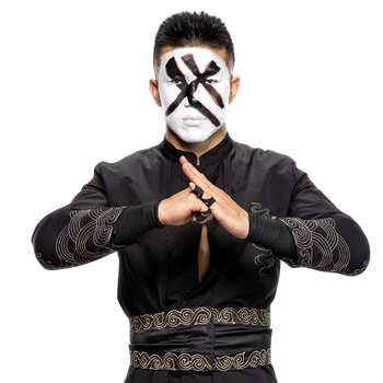 Boa Bio Information - WWE | FOX Sports