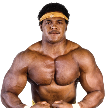 Butch Reed Bio Information - WWE | FOX Sports
