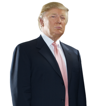 Donald Trump Bio Information - WWE | FOX Sports